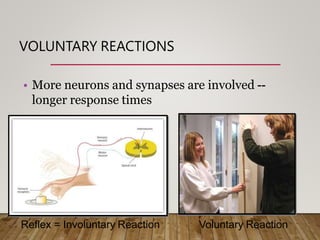 FuFuck you tooFuck you tooFuck you tooFuck you toock you too.pptx