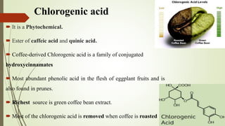 Fucntional properties of green coffee bean extract | PPTX