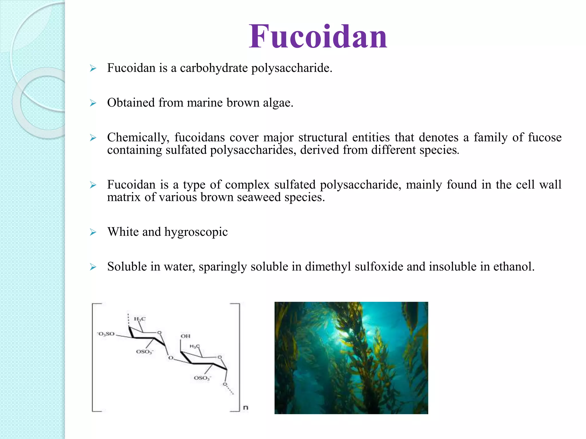 Fucoidan properties by raghav prabu | PPTX