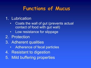 Fuctions of GIT | PPTX