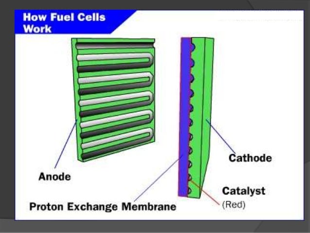 Fuel cell