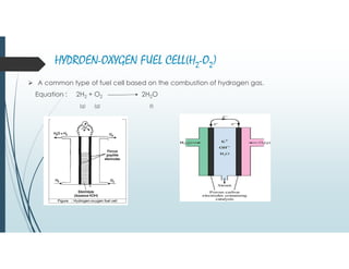 Fuel cell | PDF