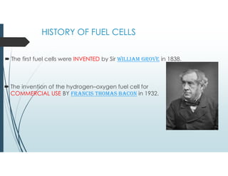 Fuel cell | PDF