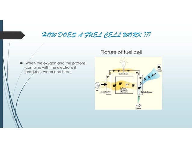 Fuel cell | PDF