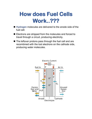 Fuel cell | PDF