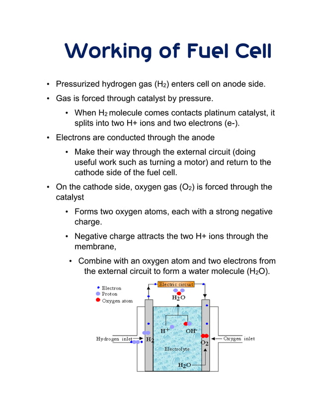 Fuel cell | PDF