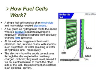 Fuel Cells.pptx