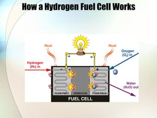 FuelCells.pdf