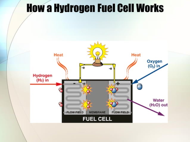 FuelCells.pdf