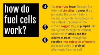 Fuel Cells and Rechargeable Batteries | PDF