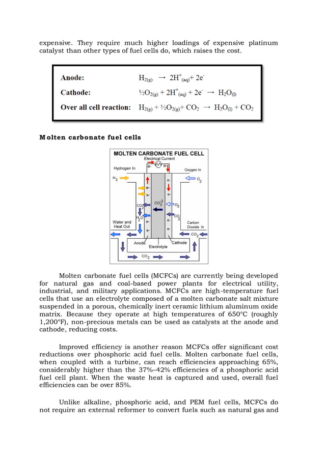 Fuel cells classification | DOCX