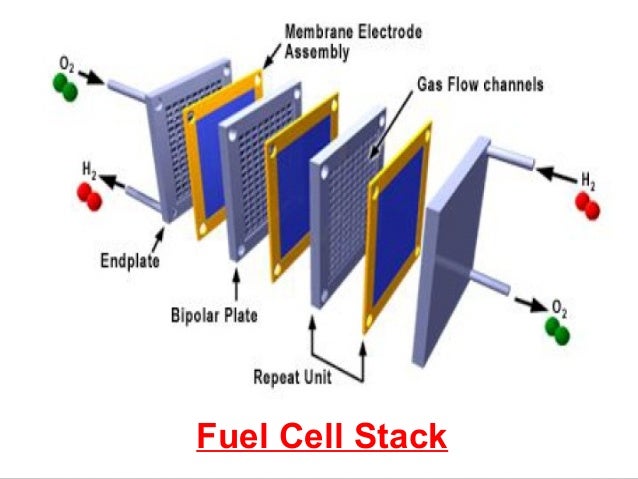 Fuel cell seminar