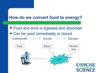 Fuel for performance | PDF