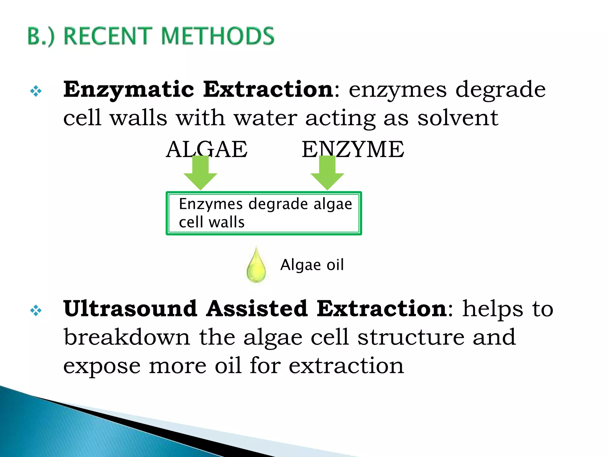 Fuel From Algae | PPTX