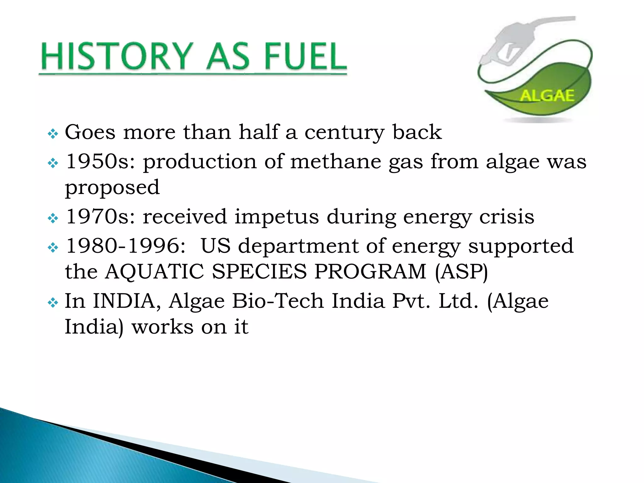 Fuel From Algae | PPTX