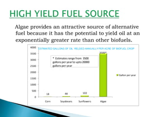 Fuel From Algae | PPTX