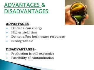 Fuel From Algae | PPTX