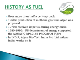 Fuel From Algae | PPTX
