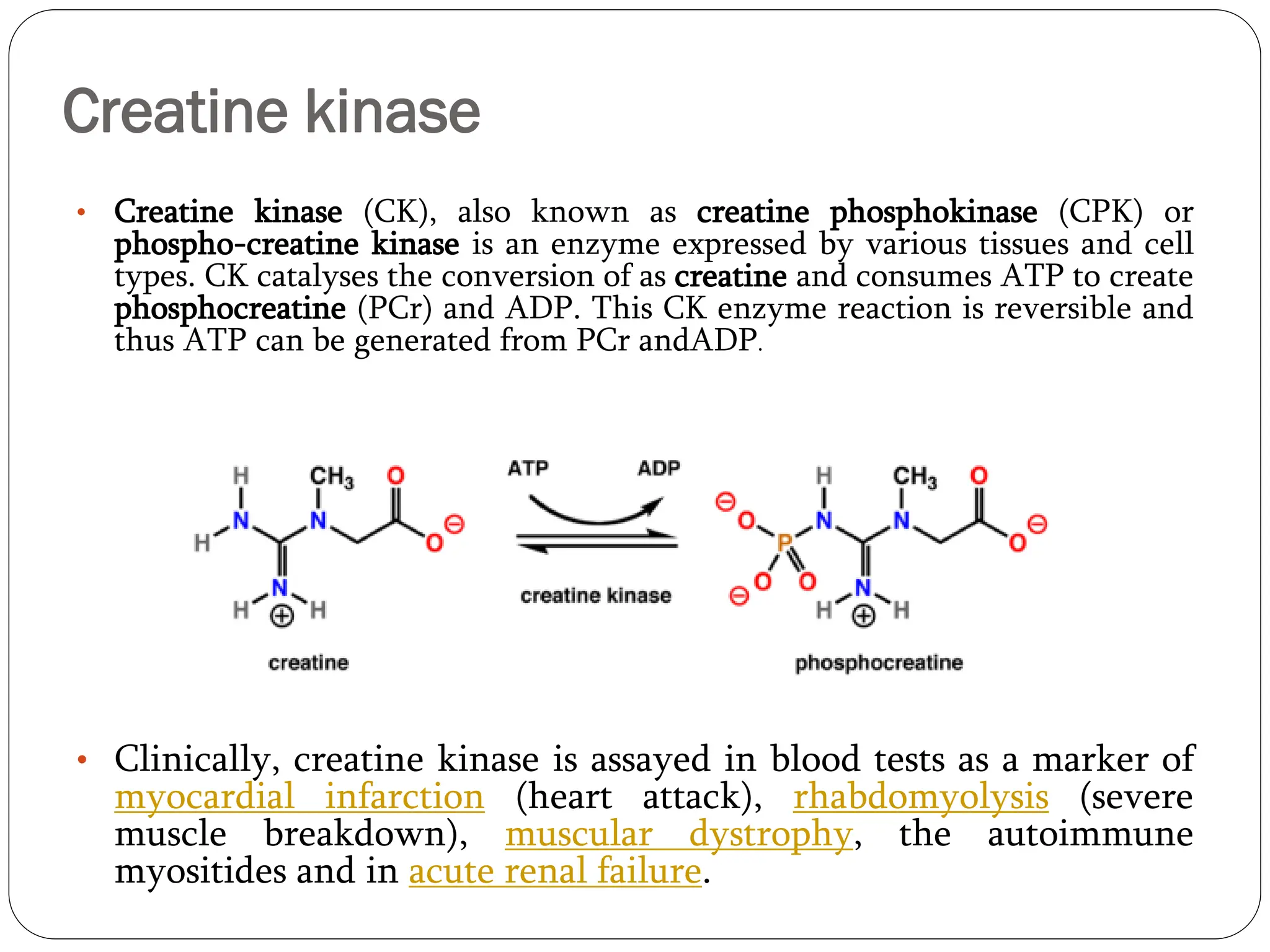 Fuel uses in muscle and contraction steps.pdf