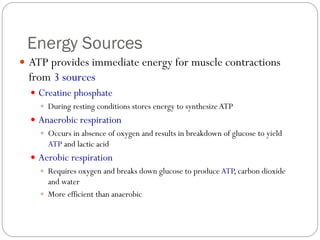 Fuel uses in muscle and contraction steps.pdf