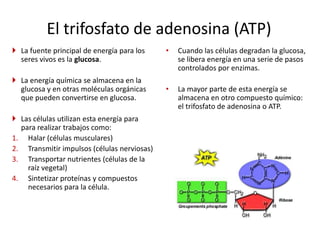 Fuentes de energía | PPTX