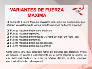 Fuerza | PDF