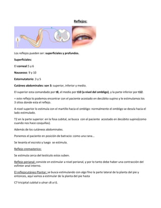 Fuerza muscula1 | DOCX