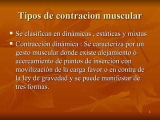 Fuerza muscular | PPT
