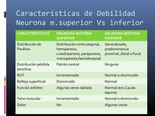 Fuerza muscular | PPT