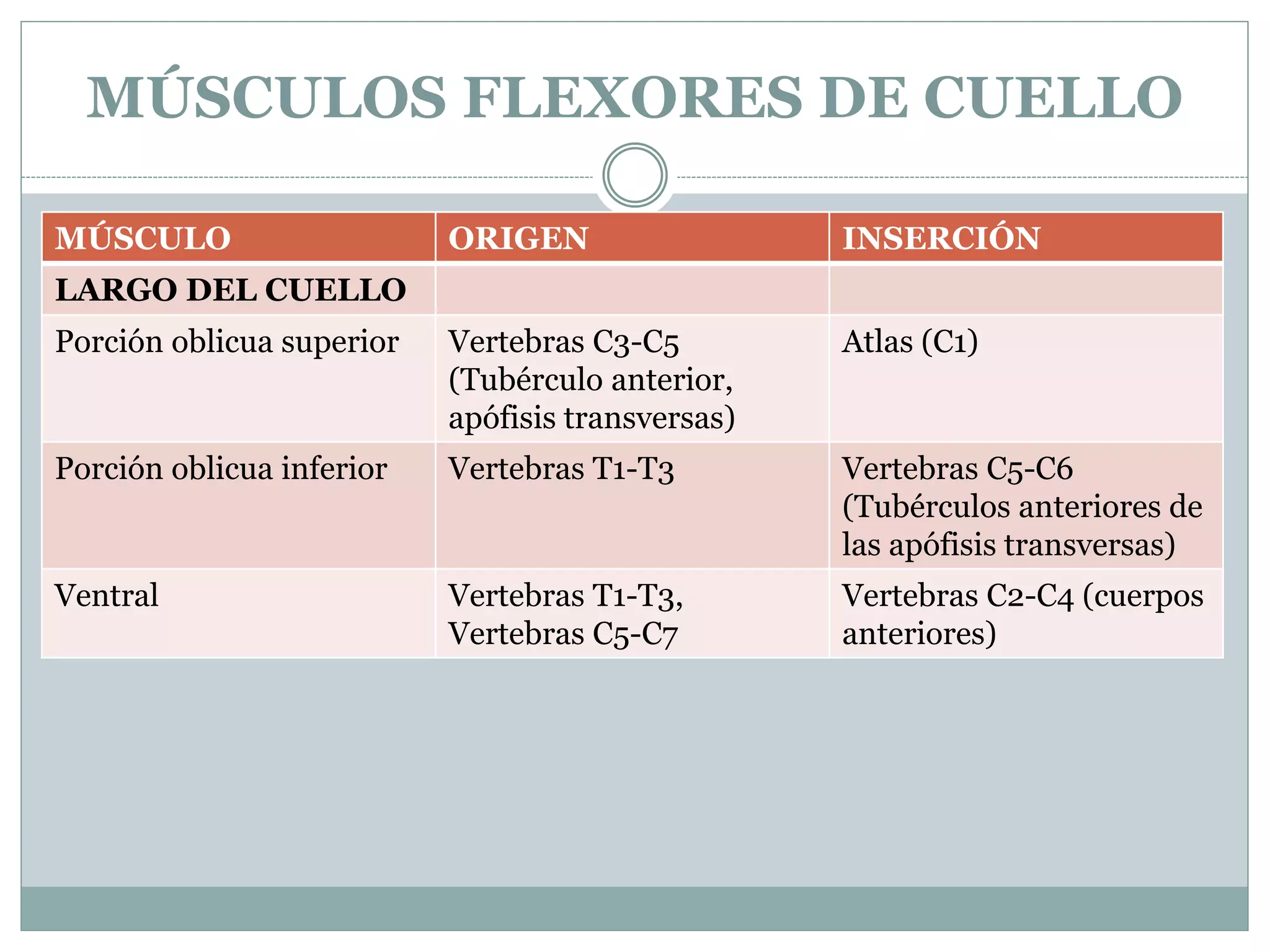 PRUEBAS MUSCULARES PARA LA FLEXIÓN DE CUELLO | PPTX