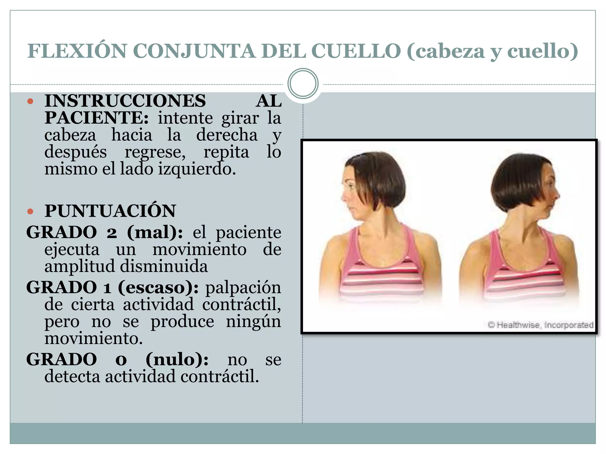 PRUEBAS MUSCULARES PARA LA FLEXIÓN DE CUELLO | PPTX