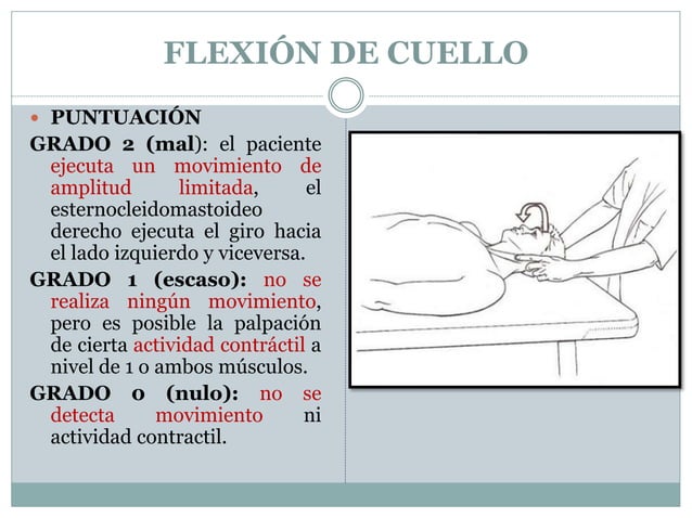 PRUEBAS MUSCULARES PARA LA FLEXIÓN DE CUELLO | PPTX