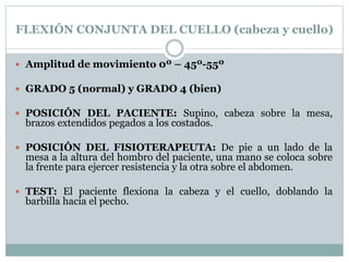 PRUEBAS MUSCULARES PARA LA FLEXIÓN DE CUELLO | PPTX