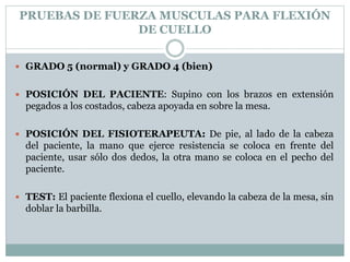 PRUEBAS MUSCULARES PARA LA FLEXIÓN DE CUELLO | PPTX