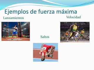 Fuerza máxima | PPTX