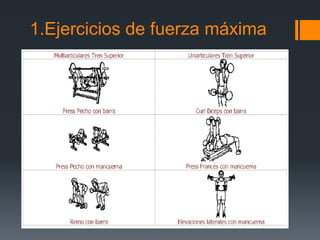 Fuerza máxima | PPTX