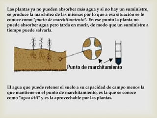 Fuerzas De Retencion Del Agua Pptx