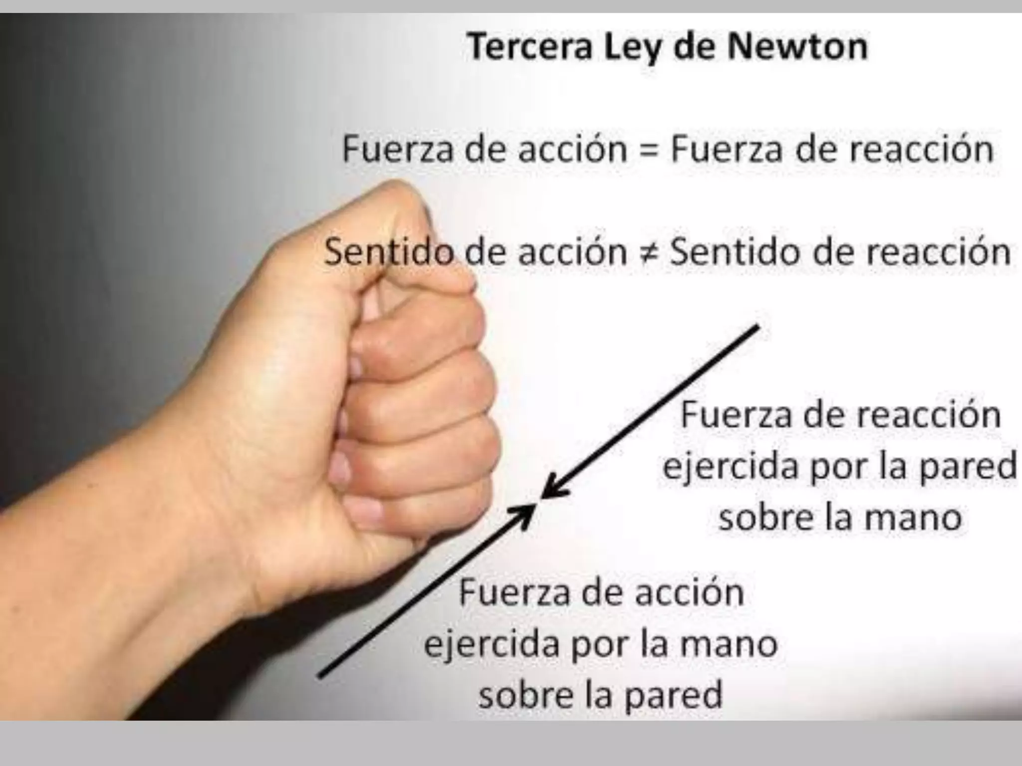 Fuerzas y leyes de newton | PPTX