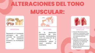 Fuerza y Tono Muscular - Grupos 02 - PPT.pdf