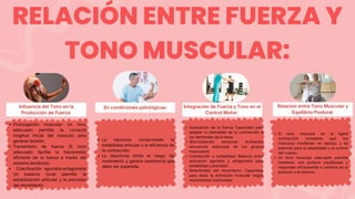 Fuerza y Tono Muscular - Grupos 02 - PPT.pdf