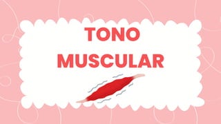 Fuerza y Tono Muscular - Grupos 02 - PPT.pdf