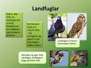 Fuglar | PPT
