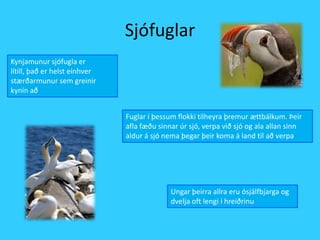 Fuglar | PPT