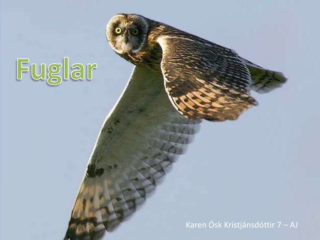 Fuglar - Karen Ósk | PPT