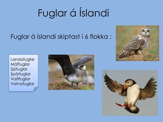 Fuglar - Karen Ósk | PPSX