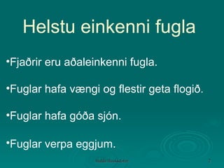 Fuglar | PPT