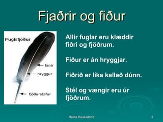 Fuglar | PPT