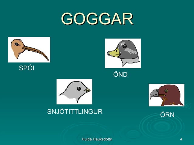 Fuglar | PPT