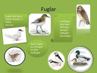 Fuglar rebekka | PPSX