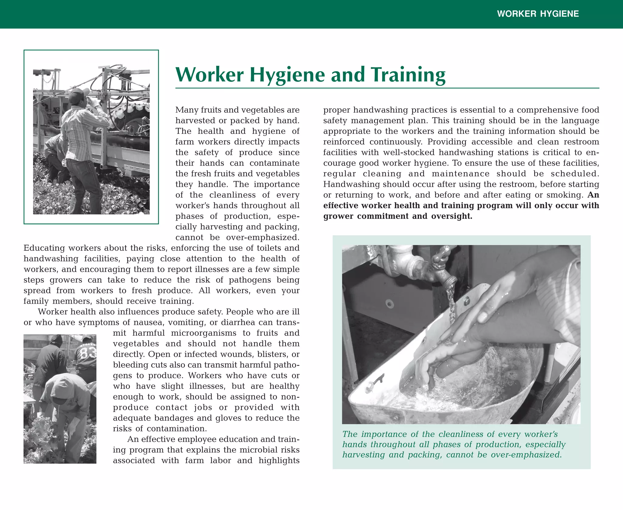 05 worker-hygiene | PDF